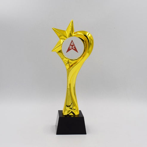 Gold Star Award for School Events | Performance Trophy